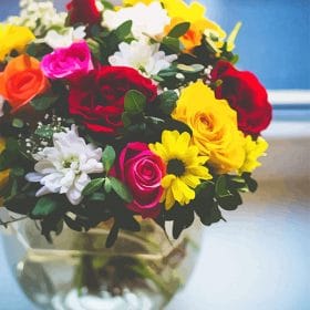 Levi Ackerman - Attack On Titan Paint By Numbers - Num Paint Kit