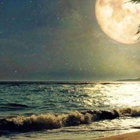 Moonlight Beach - Landscapes Paint By Numbers - Num Paint Kit