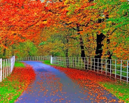 Beautiful Nature - Paint By Numbers - Num Paint Kit