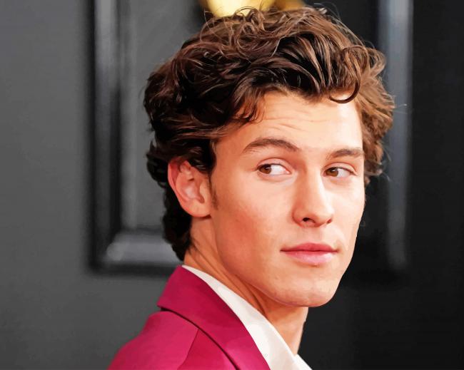 Shawn Mendes Canadian Singer - Paint By Number - Paint by numbers