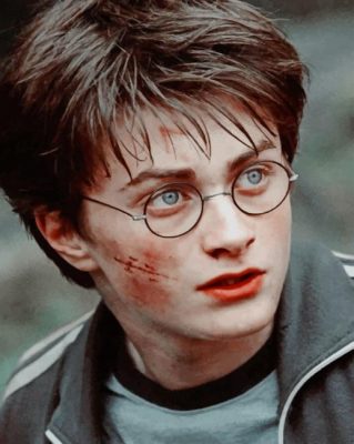 Harry Potter - Actors Paint By Numbers - Num Paint Kit