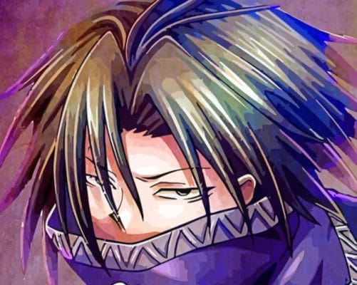 Feitan Portor Anime Character - Paint By Numbers - Num Paint Kit