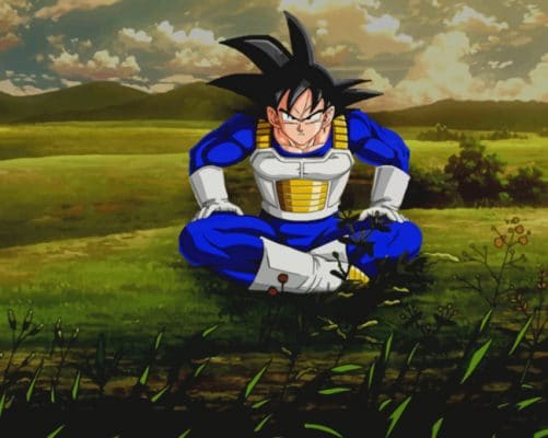 Goku In Saiyan Uniform Dragon Ball Z - Animations Paint By Numbers ...