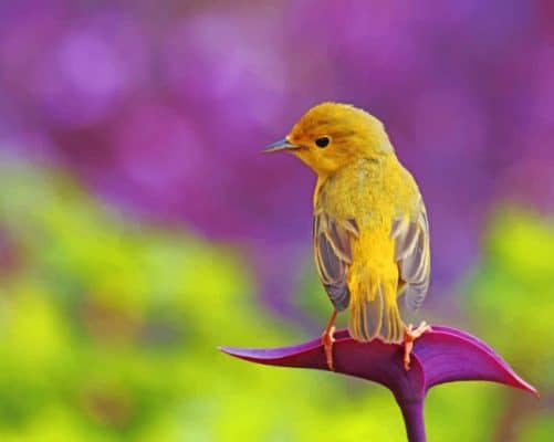 Yellow Bird On Purple Flower - Paint By Numbers - Num Paint Kit