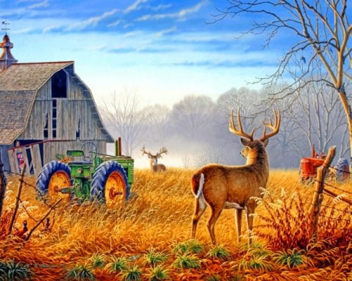 Country Scenes - Animals Paint By Number - Num Paint Kit