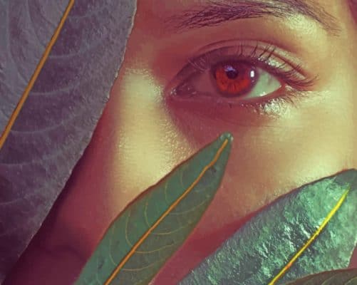 Face Behind Leaves - Paint By Numbers - Num Paint Kit
