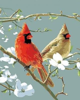 Cardinals Birds - Paint By Number - Num Paint Kit