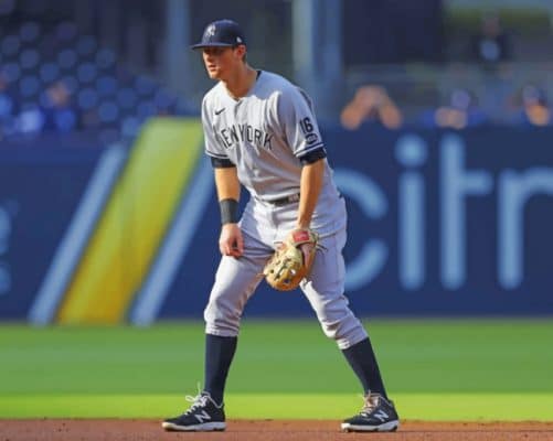 Yankees Team Player - Baseball Paint By Numbers - Num Paint Kit