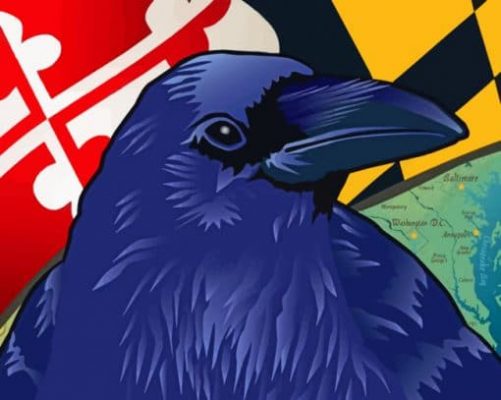 Raven Art - Paint By Numbers - Num Paint Kit