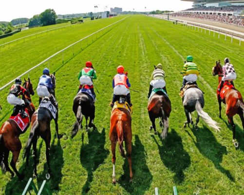 Horse Racing - Paint By Number - Num Paint Kit