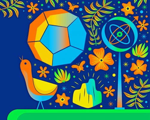 Math Beauty - Paint By Number - Num Paint Kit