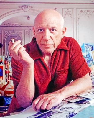Pablo Picasso - Paint By Numbers - Num Paint Kit