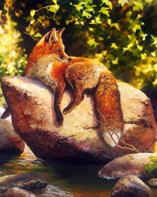 Fox - Paint By Numbers - Num Paint Kit