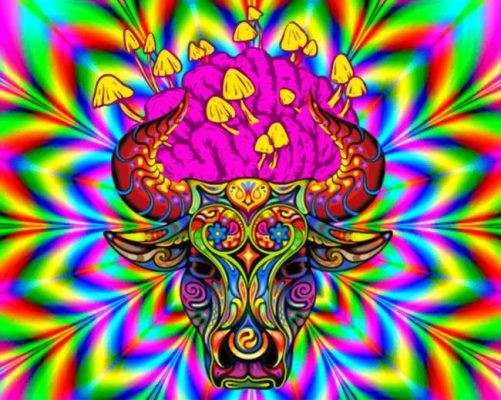 Psychedelic Animal - Paint By Numbers - Num Paint Kit