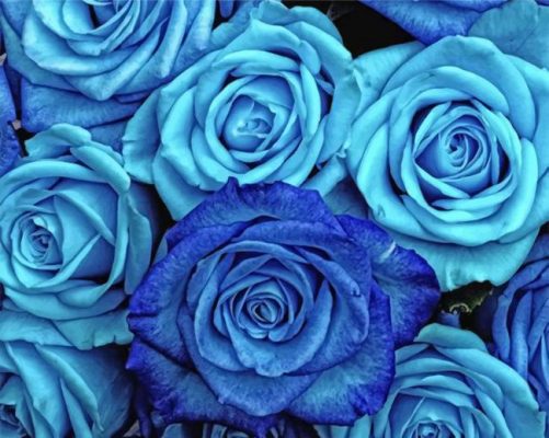 Blue Roses - Paint By Number - Num Paint Kit