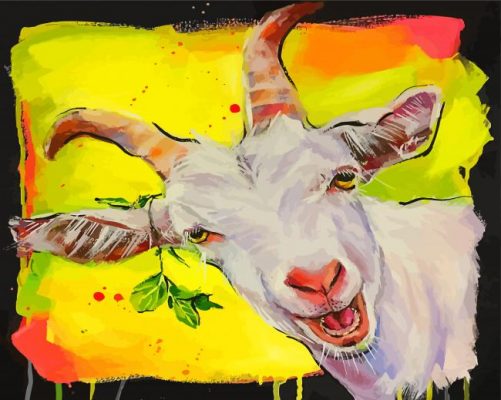 White Goat - Paint By Number - Num Paint Kit