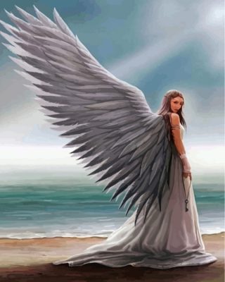 White Angel - Paint By Number - Num Paint Kit