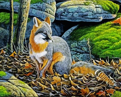 The Gray Fox - Paint By Number - Num Paint Kit