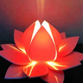 White Lotus Light – Paint By Number - Num Paint Kit