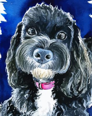 Black Cavoodle Art - Paint By Numbers - Num Paint Kit