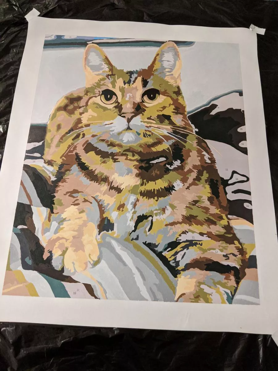 Paint By Numbers Custom Pets - Num Paint Kit
