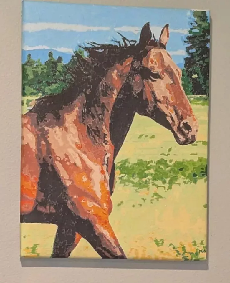 Paint By Numbers Custom Pets - Num Paint Kit