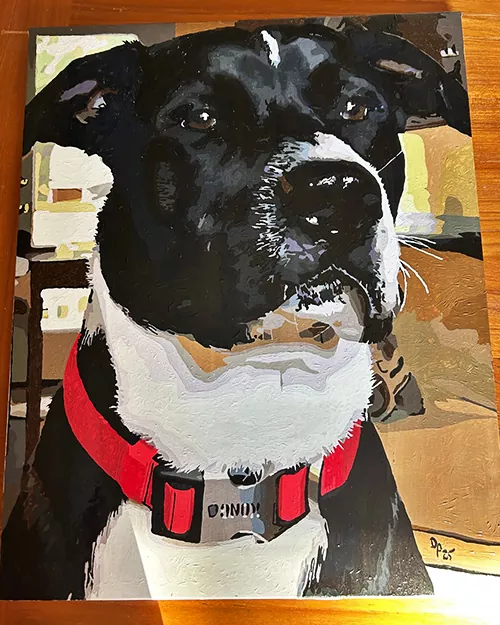Paint By Numbers Custom Pets - Num Paint Kit