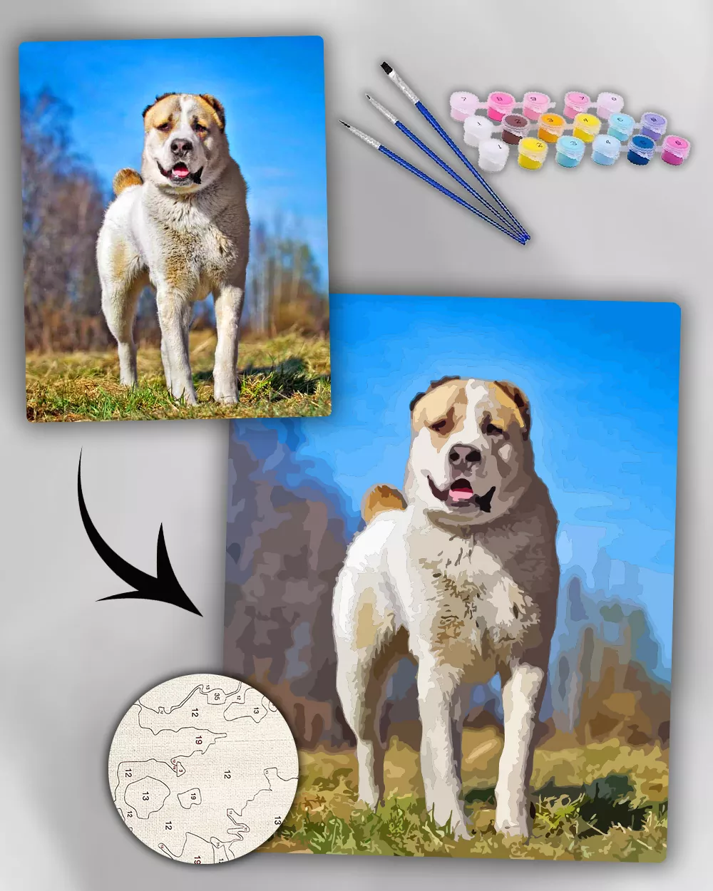 Paint By Numbers Custom Pets - Num Paint Kit